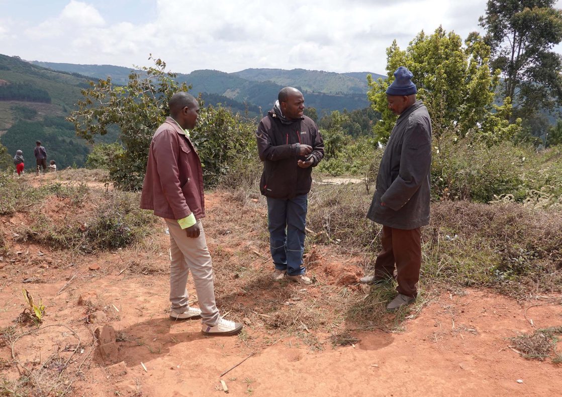 Organization – RDO Tanzania